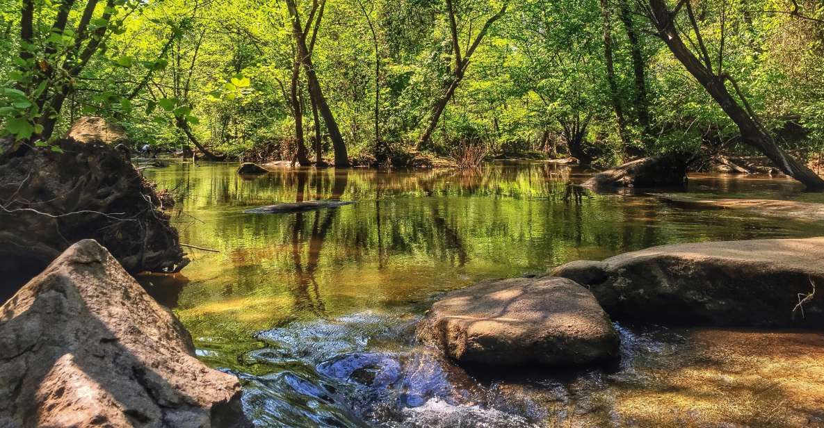 Richmond: Guided Hike in James River Park - An In-Depth Look at the Richmond Guided Hike in James River Park