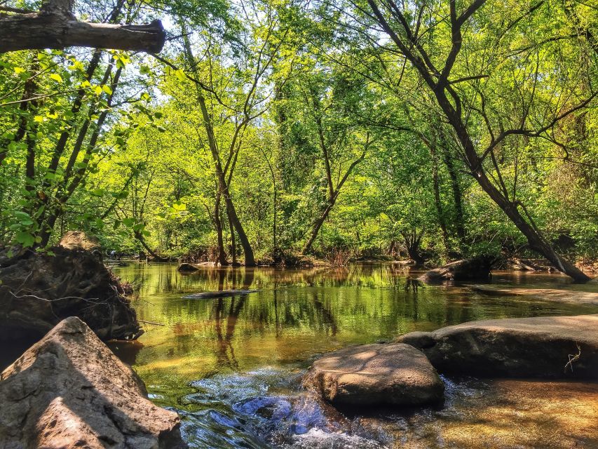 Richmond: Guided Hike in James River Park - Final Thoughts: Why It’s a Great Choice