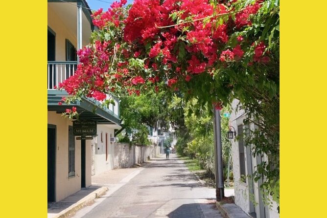 Riding Through History of St.Augustine: Premium Tour with PiCk Up - An In-Depth Look at the Tour Experience