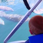 River Cruise with Manatee Viewing - What’s Not Included