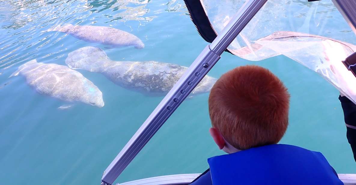 River Cruise with Manatee Viewing - What’s Not Included
