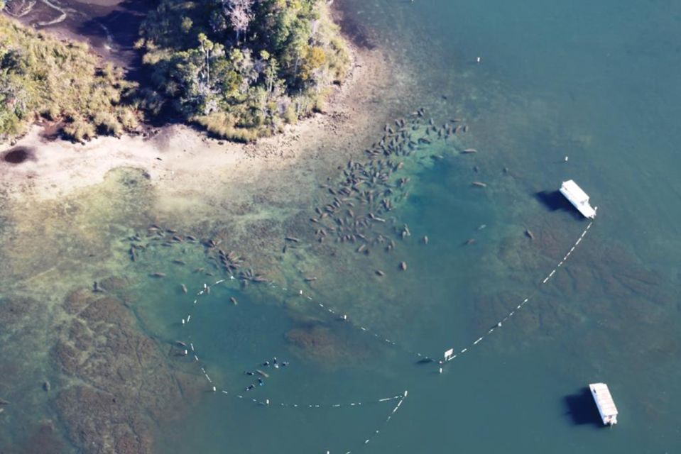 River Cruise with Manatee Viewing - Why This Tour Stands Out