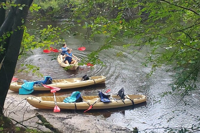 River Tubing & Kayaking - Who Should Book This Tour?