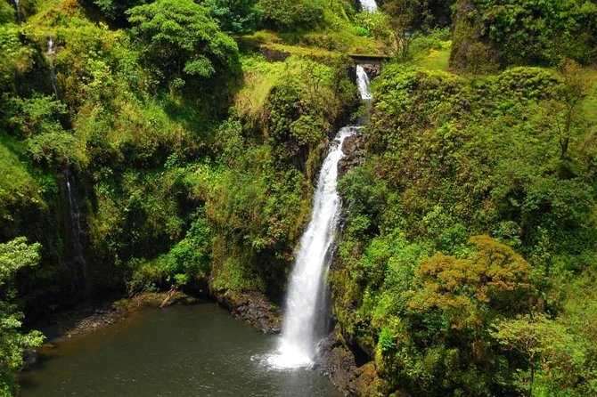 Road To Hana Black Sand Beach Waterfalls & Turtles Tour - The Itinerary Unpacked: What to Expect at Each Stop
