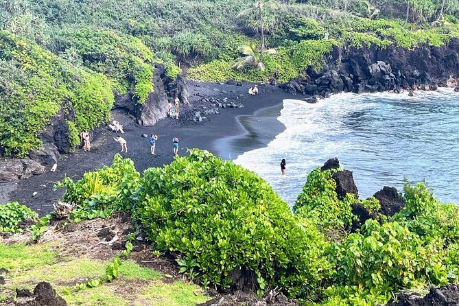 Road To Hana Black Sand Beach Waterfalls & Turtles Tour - Transportation and Comfort: What to Expect