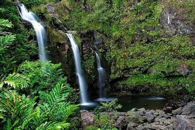 Road to Hana Deluxe Rainforest and Waterfall Experience from Oahu - The Practicalities: What to Expect