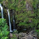 Road to Hana Deluxe Rainforest & Waterfall Experience from Maui - Who Would Love This Tour?