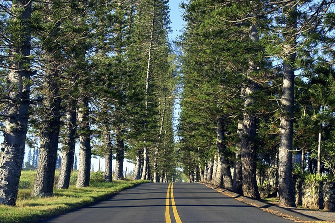 Road to Hana: Full-Day Scenic Drive with Blacksand & Waterfalls - A Scenic Journey with Rich Highlights