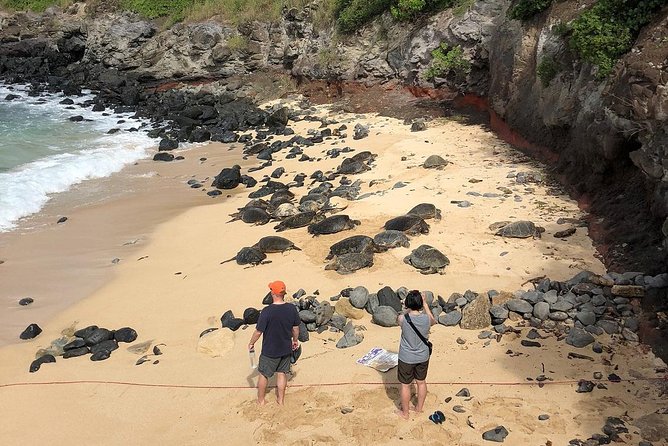 Road to Hana: Full-Day Scenic Drive with Blacksand & Waterfalls - Who Is This Tour Best For?