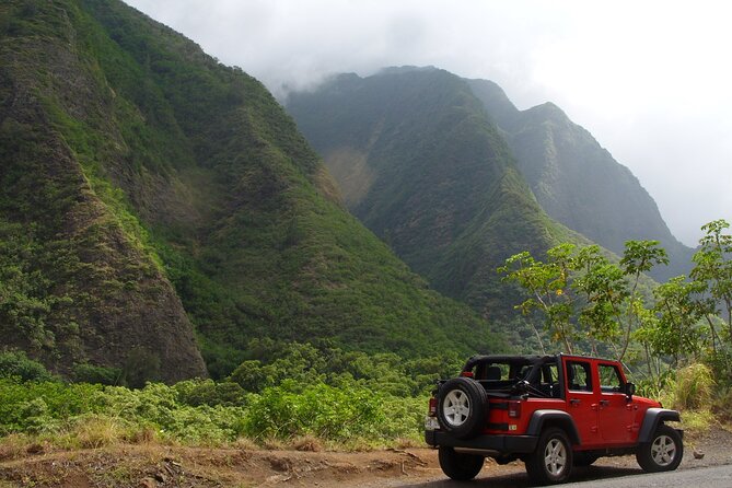 Road To Hana: Maui Waterfall Hiking Tour in Private Jeep - The Experience of the Drive