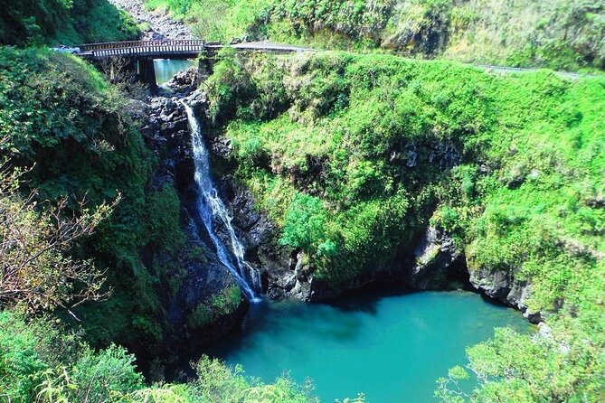 Road to Hana Private Jungle Tour - Insights from the Travelers