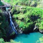 Road to Hana Private Jungle Tour with Lahaina Side pick up - The Experience: An In-Depth Look