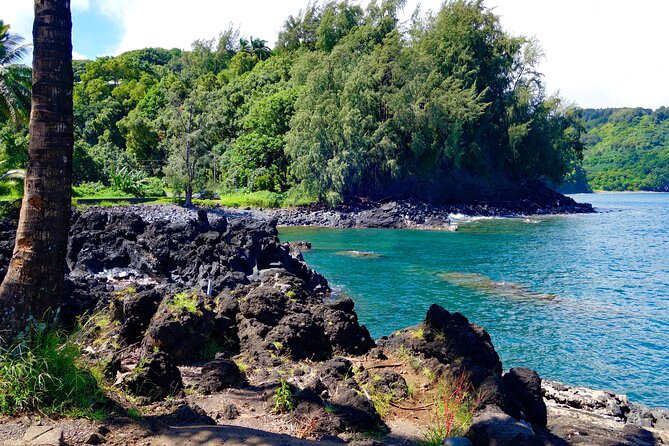 Road to Hana Rainforest, Black Sand Beach, Waterfalls & Lunch - Who Should Consider This Tour?