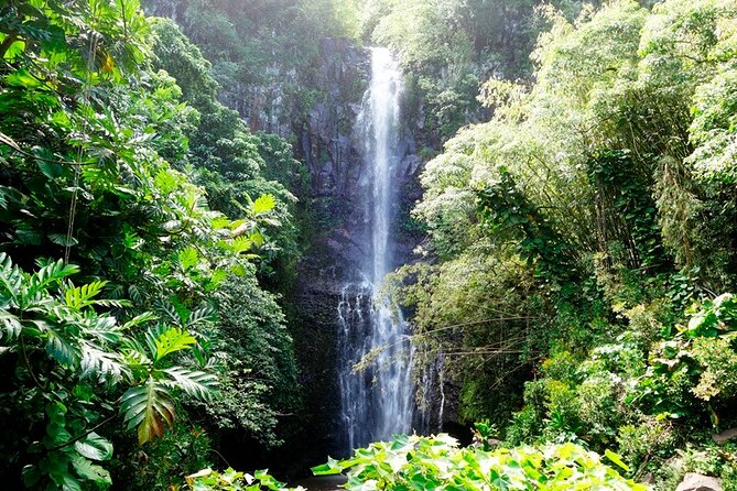 Road to Hana Rainforest, Black Sand Beach, Waterfalls & Lunch - FAQ