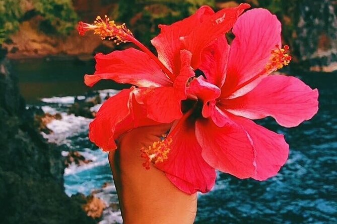 Road To Hana Tour with GO PRO 10 Videography - Practical Details and Value