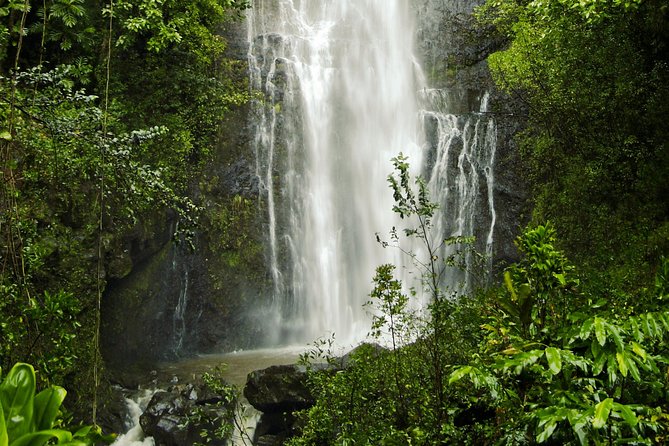 Road to Hana Tour with Lunch and Pickup - Food & Refreshments: A Cut Above