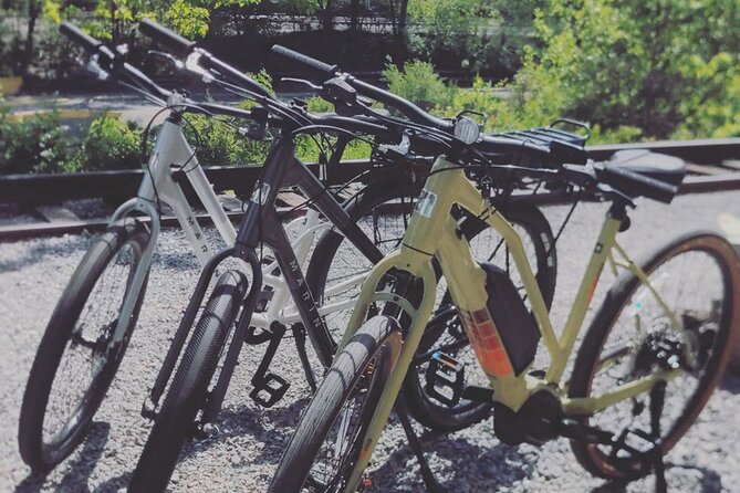 Roanoke River Greenway E-bike Rental - The Sum Up: Who Will Love the Roanoke River Greenway E-bike Rental?