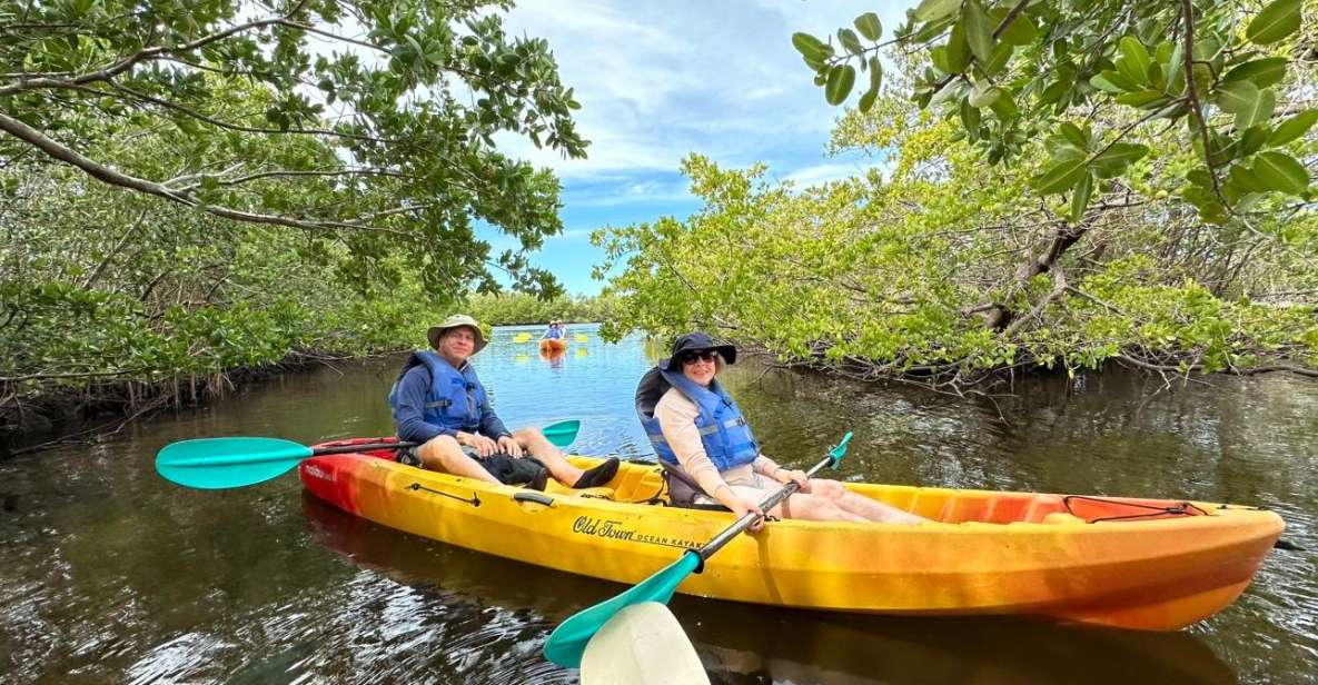 Robinson Preserve Mangrove Tour - Itinerary Breakdown
