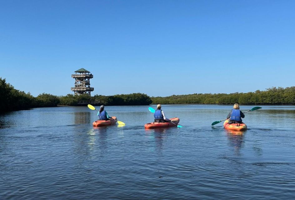 Robinson Preserve Mangrove Tour - The Guides and Group Experience
