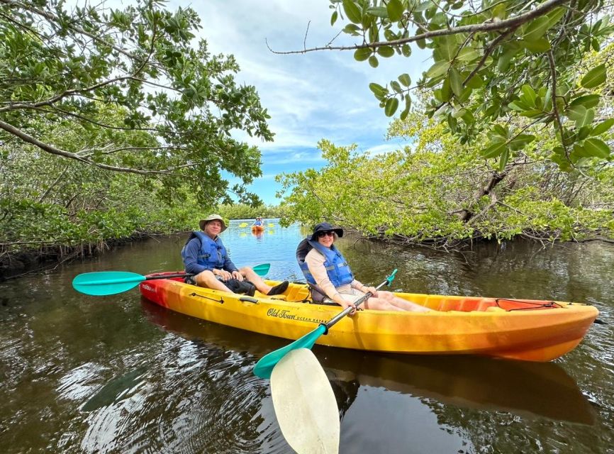 Robinson Preserve Mangrove Tour - Pricing and Value