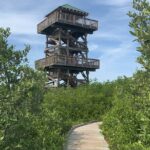 Robinson Preserve Nature Walk Eco Tour - Practical Details and Tips