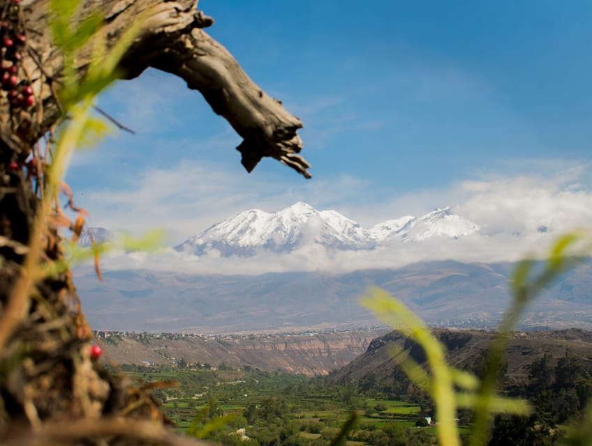 Rock Climbing in Arequipa, Perú - Who Should Try This Tour?
