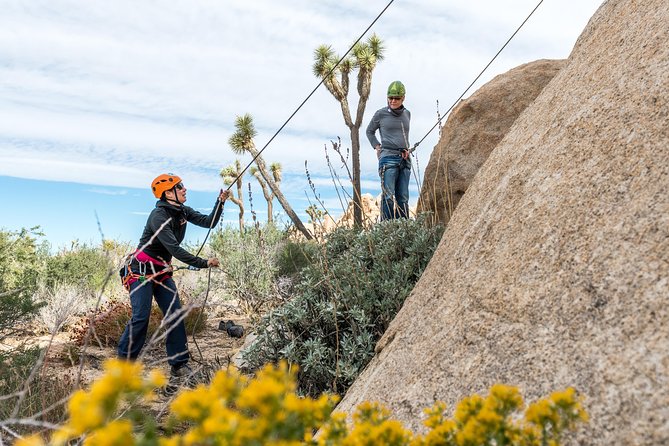 Rock Climbing Trips in Joshua Tree National Park (6 Hours) - Why We Love This Climbing Trip in Joshua Tree