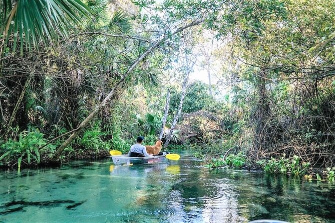 Rock Springs 2-Hour Glass Bottom Guided Kayak Eco Tour - The Experience in Detail