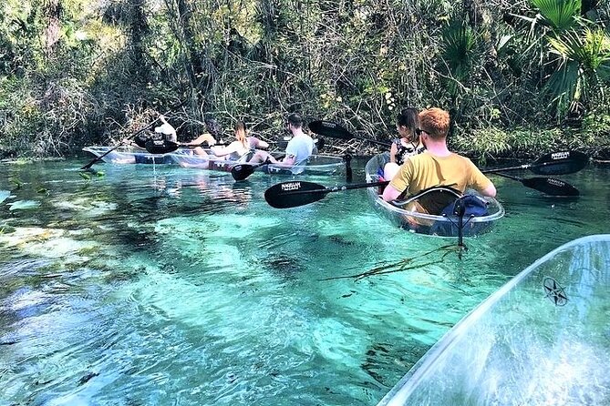 Rock Springs 2-Hour Glass Bottom Guided Kayak Eco Tour - What About the Cost?