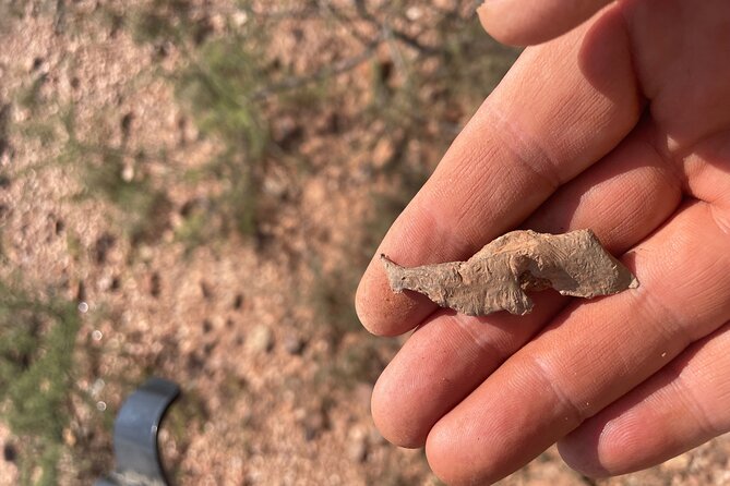 Rockhounding in Bisbee - What to Expect from the Rockhounding Tour in Bisbee