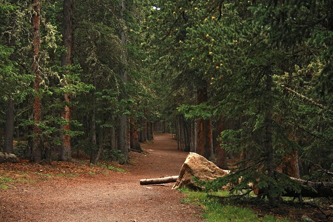 Rocky Mountain Escape - Pricing and Value