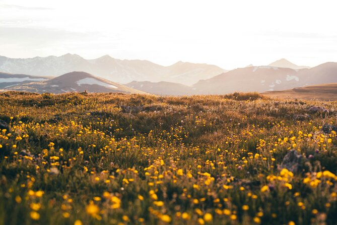 Rocky Mountain Full Day Private Tour & Hike from Denver / Boulder - Practical Considerations