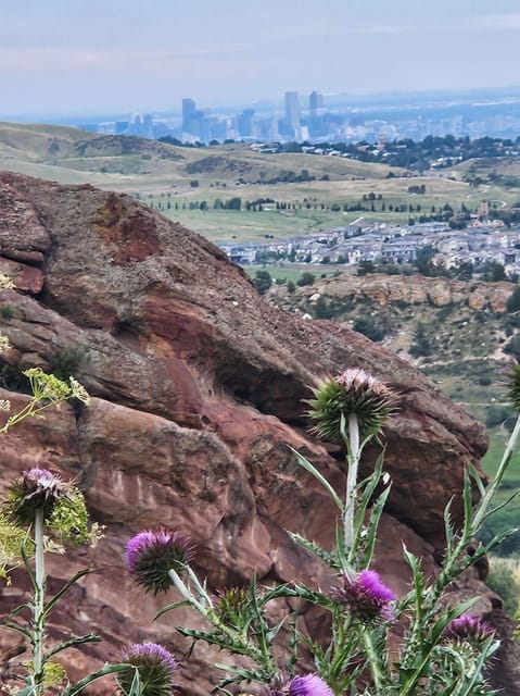 Rocky Mountain HIGH: Cannabis Mountain Tour - Setting the Scene: What the Tour Offers