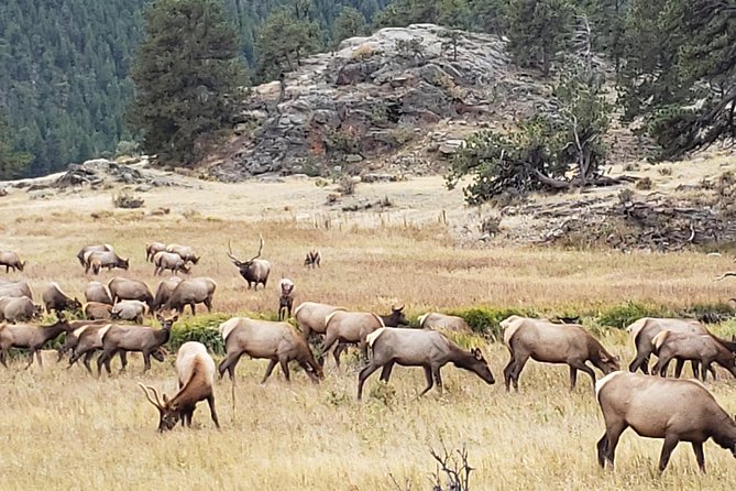 Rocky Mountain National Park and Estes Park Tour from Denver Winter and Spring - The Itinerary in Detail