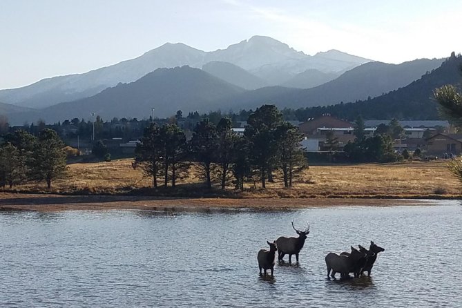 Rocky Mountain National Park and Estes Park Tour from Denver Winter and Spring - Authentic Experiences from Travelers