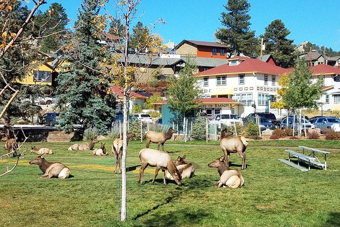 Rocky Mountain National Park in Summer Tour from Denver - The Itinerary: A Closer Look at Your Day in the Rockies