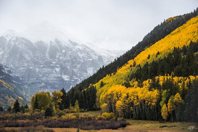 Rocky Mountain National Park - Private Sightseeing Tour - The Experience: What You Can Expect