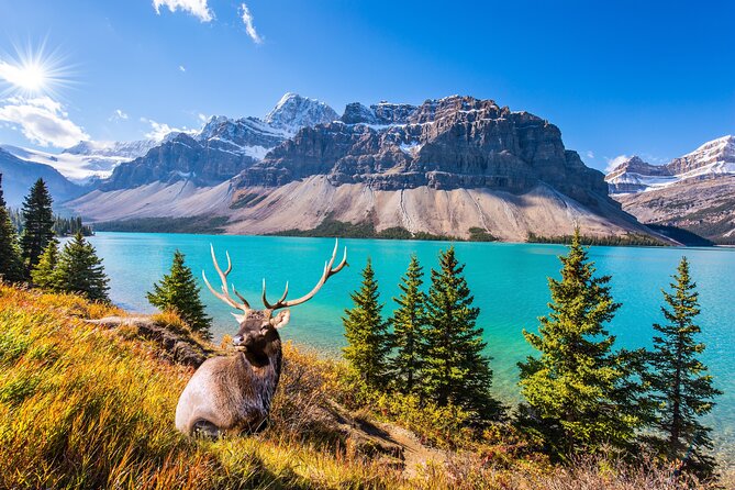 Rocky Mountain National Park Self-Guided Driving Audio Tour - What’s Included and What’s Not?