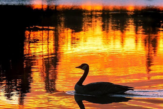 Rocky Mountain National Park Sunrise Hiking Tour - Key Points