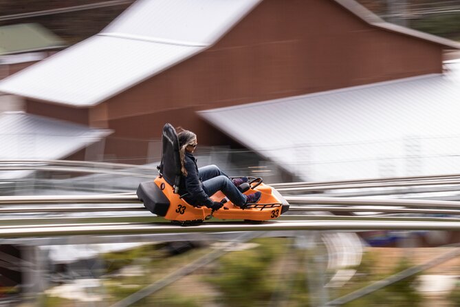Rocky Top Mountain Coaster Admission Ticket in Pigeon Forge - What Makes the Rocky Top Mountain Coaster Special?