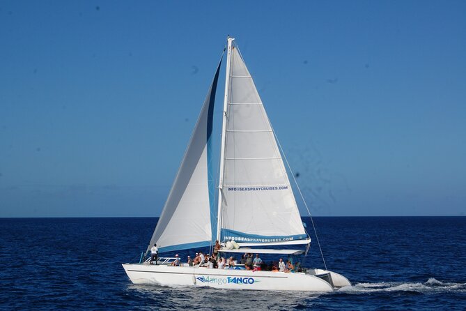 Rodney Bay to Soufriere Catamaran Transfer - Experience the Beauty of St Lucia with the Rodney Bay to Soufriere Catamaran Transfer