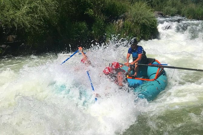 Rogue River Thrill Seeker - The Itinerary Breakdown: What to Expect