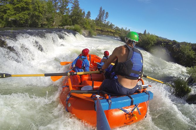 Rogue River Thrill Seeker - The Value of the Rogue River Thrill Seeker