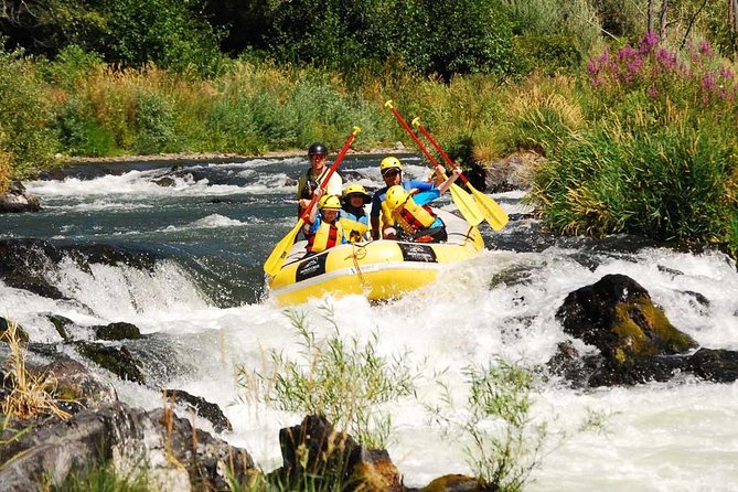 Rogue Valley Rapid Run - What You Can Expect on the Rogue Valley Rapid Run