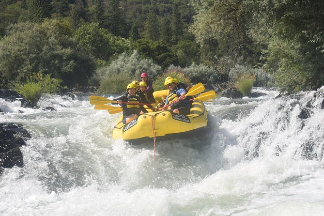 Rogue Valley Rapid Run - Group Size and Booking
