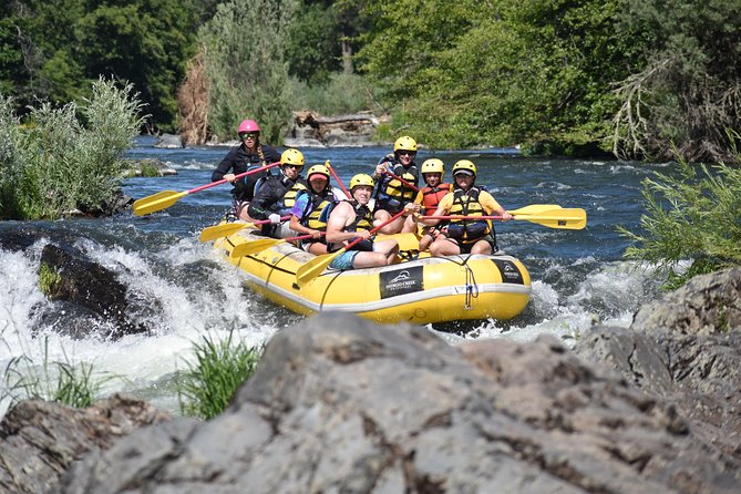 Rogue Valley Rapid Run - The Sum Up: Why This Tour Stands Out