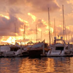 Romantic Boat Cruise with Wine & Cheese or Surprise Dinner - Practical Details and Value