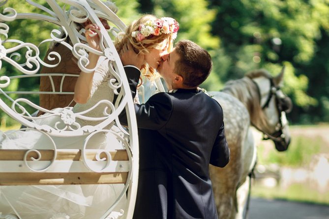 Romantic/Proposal Central Park Carriage Tour (Up to 4 Adults) - Detailed Breakdown of the Itinerary
