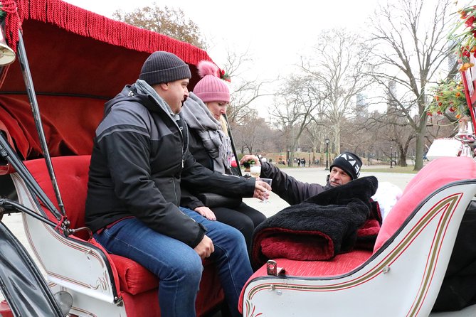 Romantic/Proposal Central Park Carriage Tour (Up to 4 Adults) - Practical Considerations