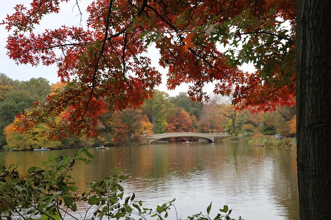 Romantic/Proposal Central Park Carriage Tour (Up to 4 Adults) - The Sum Up